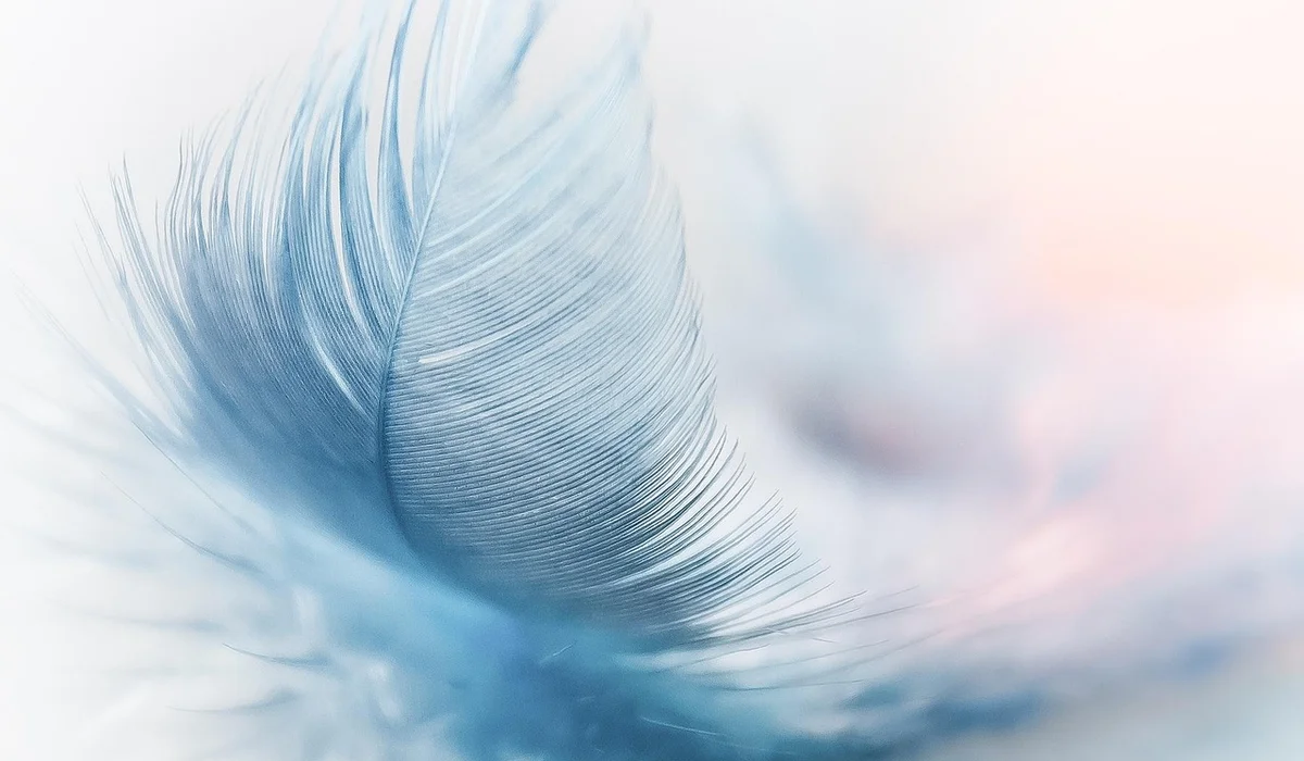 Blood Feathers in Birds: Your Emergency Guide - Parrot Care Central